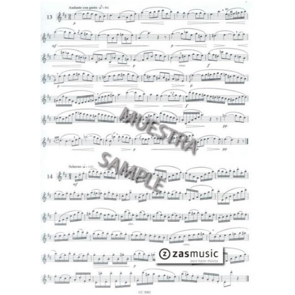 Ferlin: 48 estudios Op. 31